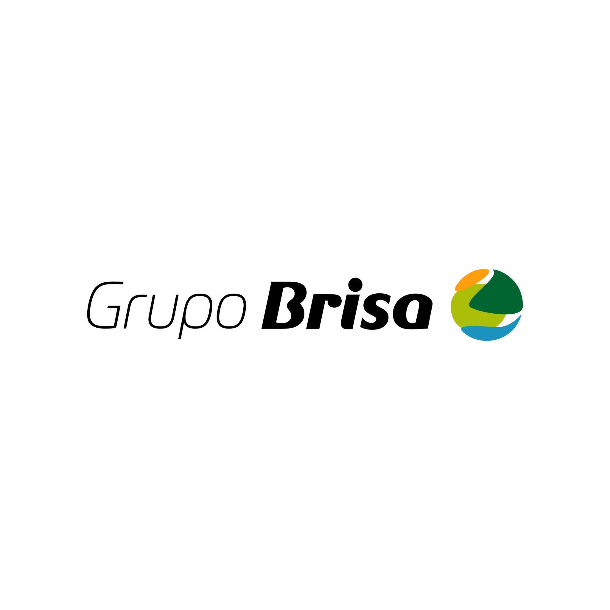 Grupo Brisa - APFM